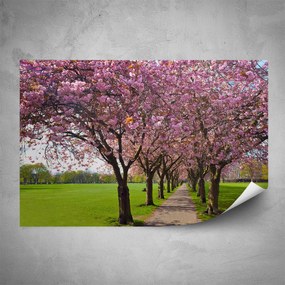 Plakát - Růžová alej (60x40 cm) - PopyDesign