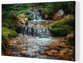 Obraz na plátně - Malý vodopád s šiškou a mechem FeelHappy.cz Velikost obrazu: 90 x 60 cm