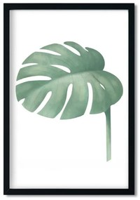 Plakát na stěnu MONSTERA do dětského pokoje Zvolte rozměr: 50 x 70 cm