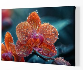 Obraz na plátně - Orchidej, deštivé ráno FeelHappy.cz Velikost obrazu: 150 x 100 cm