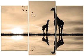 Obraz na plátně - Žirafy silueta 1919FC (150x100 cm)