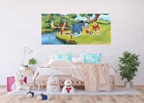 Dětská vliesová fototapeta na zed' Medvídek Pú Čas na plavání, Disney | 202 x 90 cm | DFTDNH 5315