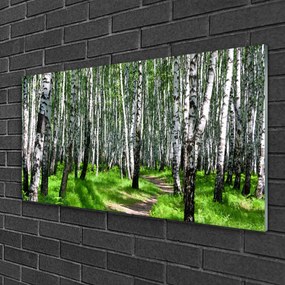 Obraz na skle Stromy Tráva Příroda 100x50 cm