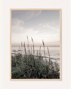 Oboustranný plakát Letní Slunce / Ovsíková Tráva | 30 x 42 cm | DP351337