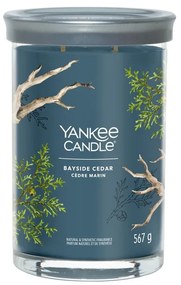 Yankee Candle Tumbler velký Bayside Cedar, 567g