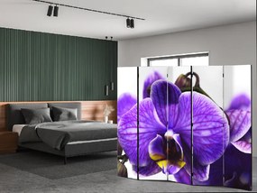 Paraván orchidej na bílém pozadí Rozměr: 225 x 180 cm