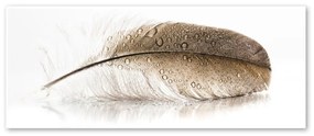 Obraz Styler Glasspik Wings, 50 x 125 cm