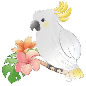 Plakát Bílý papoušek na větvi