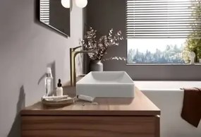 Hansgrohe Vivenis - Umyvadlová baterie | EcoSmart | CoolStart kartáčov