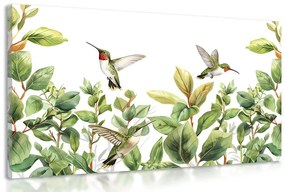 Obraz kolibříky a listy