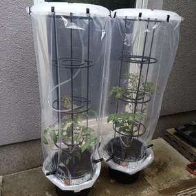 PROSPERPLAST Květináč na pěstování rajčat TOMATO GROWER antracit 29,5cm (max. výška: 115,2cm)