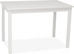Casarredo - Komfort nábytek Jídelní stůl FIORD bílý 110x70, bílá