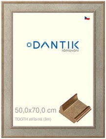 DANTIK rámeček 50x70 | TOOTH stříbrná (Plexi Čiré)