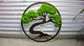 OznTo Nástěnný strom ve tvaru bonsaje více druhů,3velikosti Barva mechu: středně zelený, Barva rámečku: Hnědá, Rozměr rámečku: Průměr 50cm