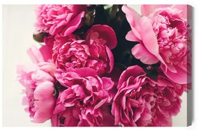 Obraz Kytice Pivoňkových Růží Nedostatek Nedostatek Přírodní plátno 100x70