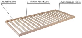 AHORN CZ, s.r.o. Rošt Maximus ROZMĚR: 100 x 200 cm - ATYP