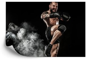 Fototapeta Naštvaný Boxer Omyvatelný vlies 270x180