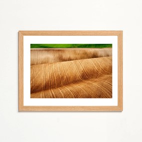 Vojta Herout | Field Tsunami Rám: Bílý, Velikost: 30 x 40 cm