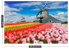 Fototapeta Větrné mlýny v Nizozemsku