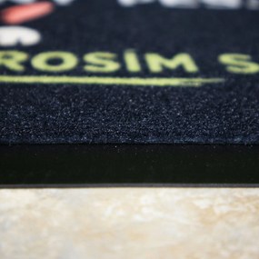 Mercury Flooring, Rohožka Líný pes 40x60 cm - na ven i na doma, 40x60, šedá