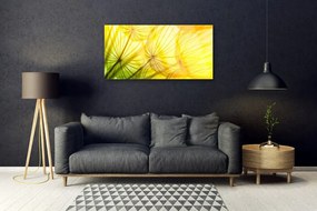 Obraz na skle Pampelišky Květiny Příroda 140x70 cm