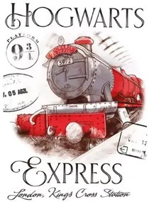 Carbotex Dětský ručník Harry Potter Bradavický Express 30x50 cm