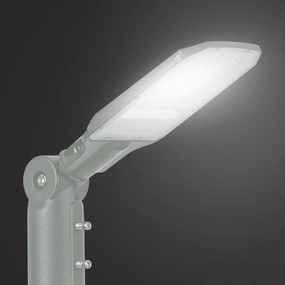 BRILAGI - LED Venkovní pouliční lampa URBANLIGHT LED/50W/230V šedá IP65