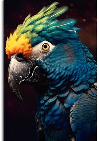 Obraz modro-zlatý papoušek