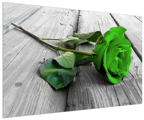 Obraz zelené růže (120x80 cm)