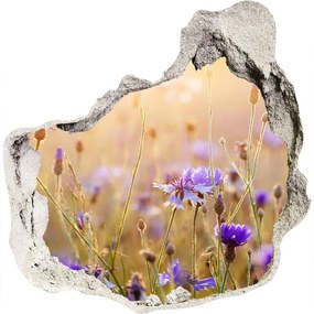 Wallmuralia Samolepící díra nálepka Polní květiny 75x75 cm