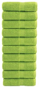 Prémiové mycí utěrky SOLUND 10 ks jablečně zelené 30x30 cm 600 g/m² 137493