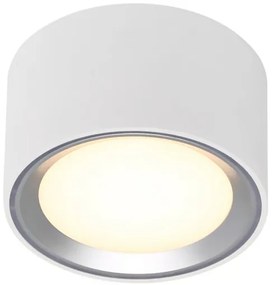 Nordlux - LED Stmívatelné stropní svítidlo FALLON LED/5,5W/230V