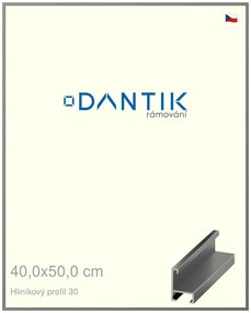 DANTIK rámeček 40x50 | ALU profil 6030 Ocelová (Plexi Čiré)