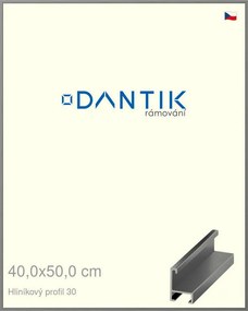 DANTIK rámeček 40x50 | ALU profil 6030 Ocelová (Plexi Čiré)