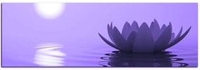 Obraz na plátně - Zen lotus - panoráma 5167VA (120x45 cm)