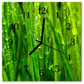 Nástenné skleněné hodiny tráva