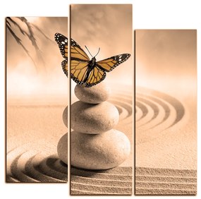Obraz na plátně - Motýl na spa kameny - čtverec 3180FC (105x105 cm)