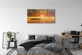 akrylový obraz Zebra západ mraky 125x50 cm