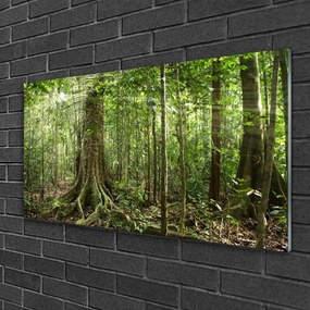 Obraz na skle Les Příroda Džungle 140x70 cm