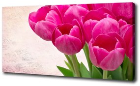 Wallmuralia Moderní obraz canvas na rámu Růžové tulipány 100x50