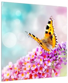 Obraz motýla na květech (50x50 cm)