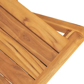 vidaXL Skládací zahradní židle 2 ks 47x61x90 cm masivní teakové dřevo [362759]