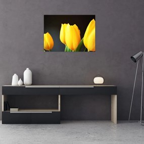 Skleněný obraz tulipánů (70x50 cm)