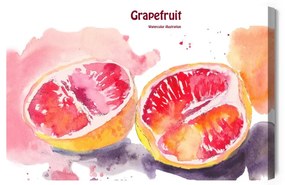 Obraz Grapefruit Malovaný Akvarelem Nedostatek Nedostatek Plátno Canvas 100x70