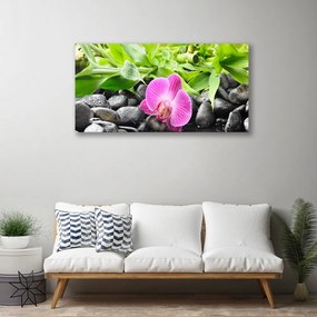 Obraz na plátně Květiny Orchidej Kameny Zen 100x50 cm
