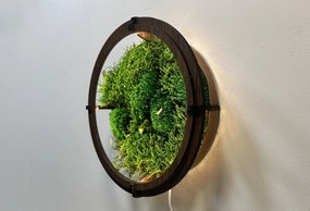 Li-Go "Mechové kopečky" lampa/obraz 31 cm provedení povrchu: dub světlý
