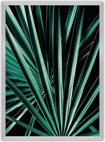 Plakát Dark Palm Tree