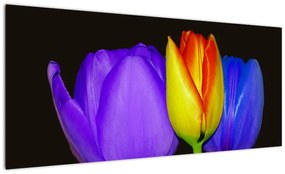 Obraz tulipánů (100x40cm)