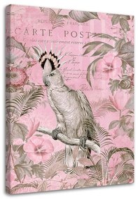 Gario Obraz na plátně Růžový pták kakadu - Andrea Haase Rozměry: 40 x 60 cm