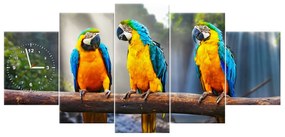 Gario Obraz s hodinami Barevní papoušci - 5 dílný Rozměry: 150 x 70 cm